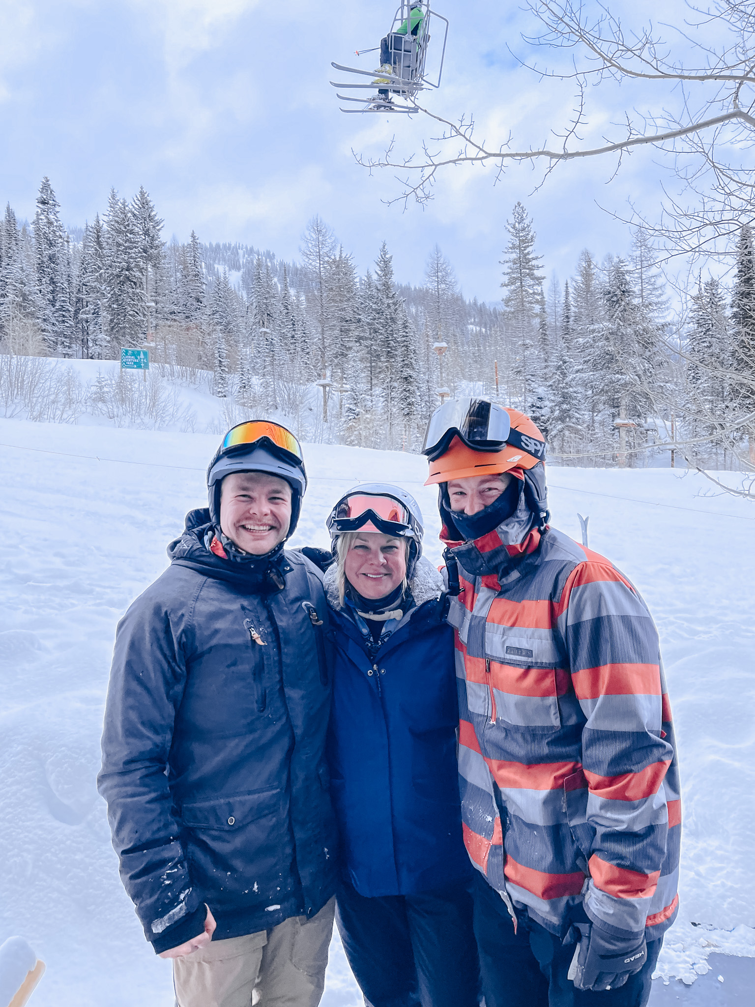 Meet Alfie - Rowan Hall Interiors